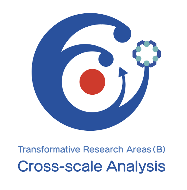 Outline | Cross-scale Analysis